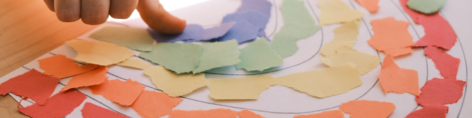 New ALN System - Snap Cymru